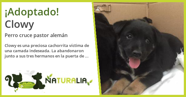 Asociación Naturalia - Adopción de Clowy