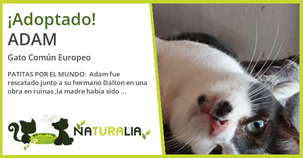 Asociación Naturalia - Adopción de ADAM